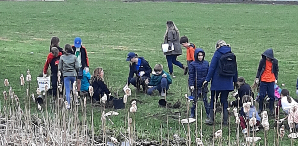 Trees for Clarence Bird Park was a Great Success! – Rotary Loves Trees